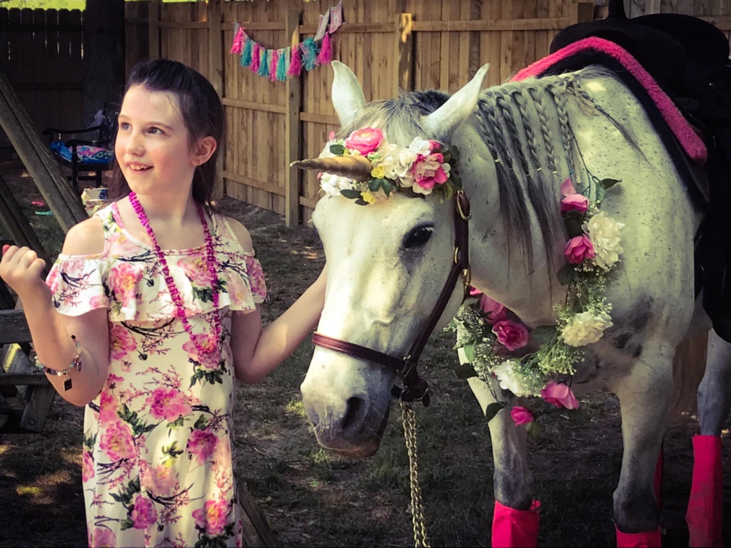 Birthday Parties & Pony Rides – Posies Pastures