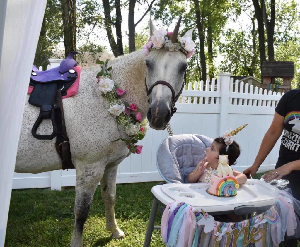 Birthday Parties & Pony Rides – Posies Pastures