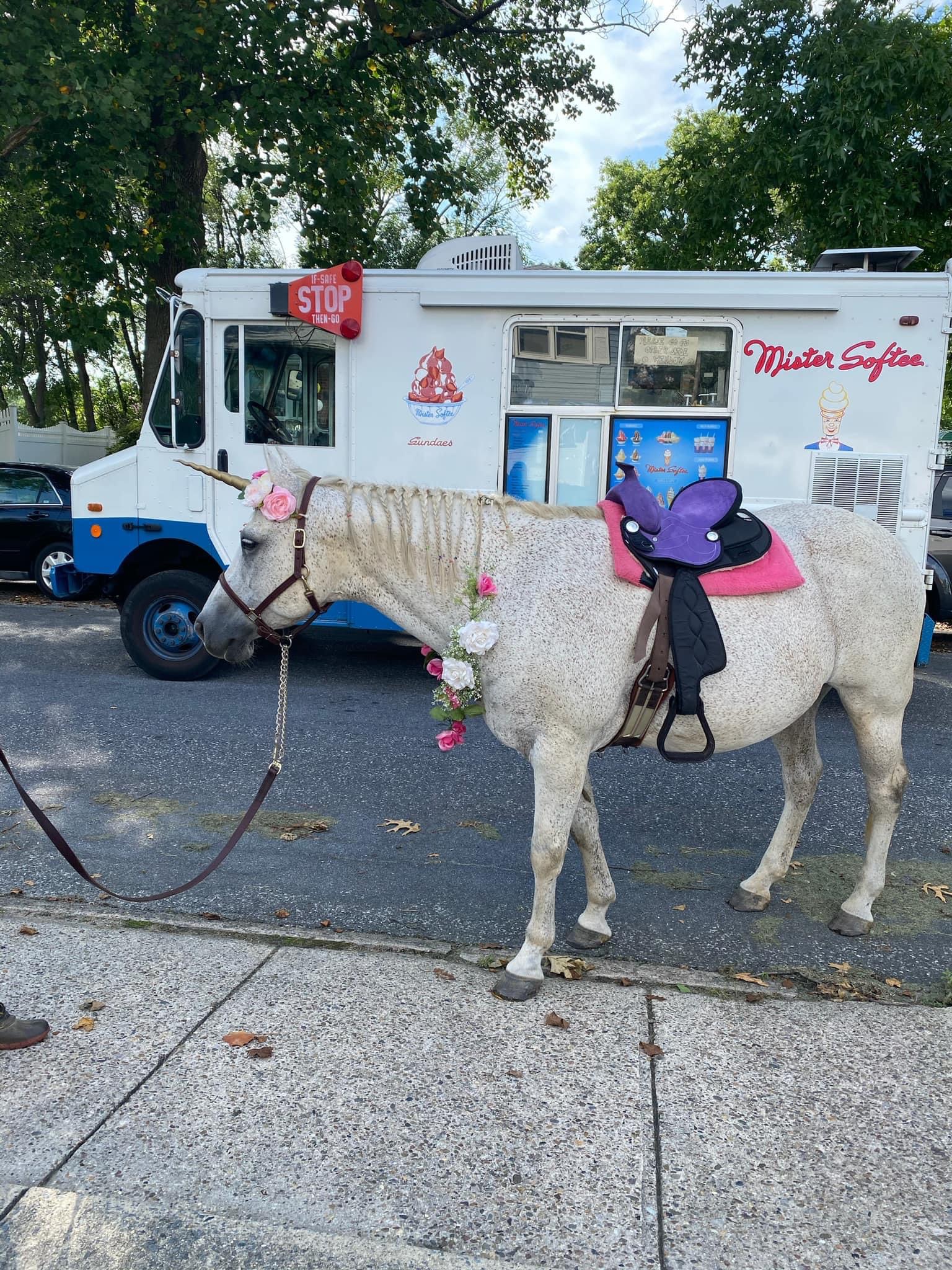 Birthday Parties & Pony Rides – Posies Pastures