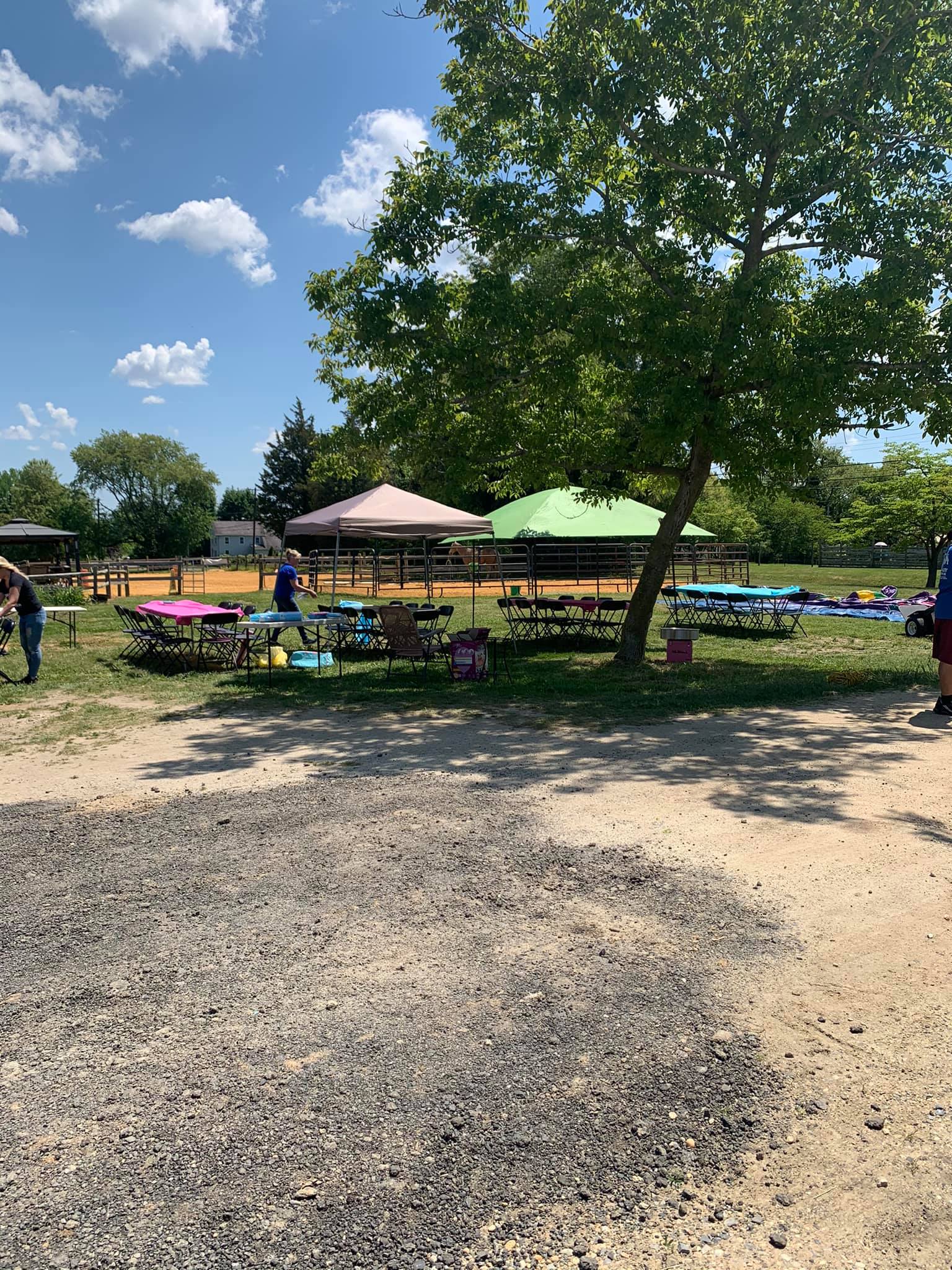 Birthday Parties & Pony Rides – Posies Pastures